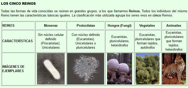 CIENCIAS: LOS REINOS DE LA NATURALEZA