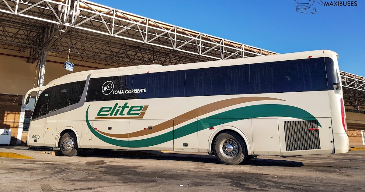 MAXIBUSES: ELITE