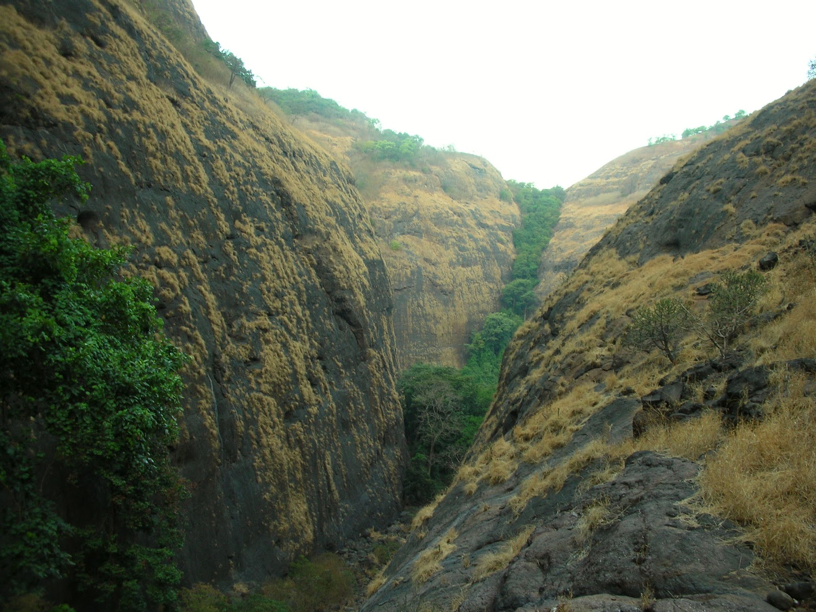 The wandering soul: Plus Valley Tamhini Ghat