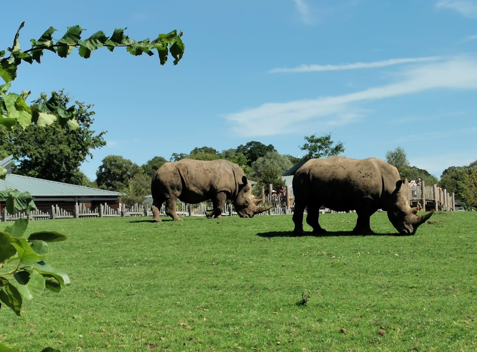 Tantrums To Smiles: Marwell Zoo - A Fantastic Day Out for the Whole Family