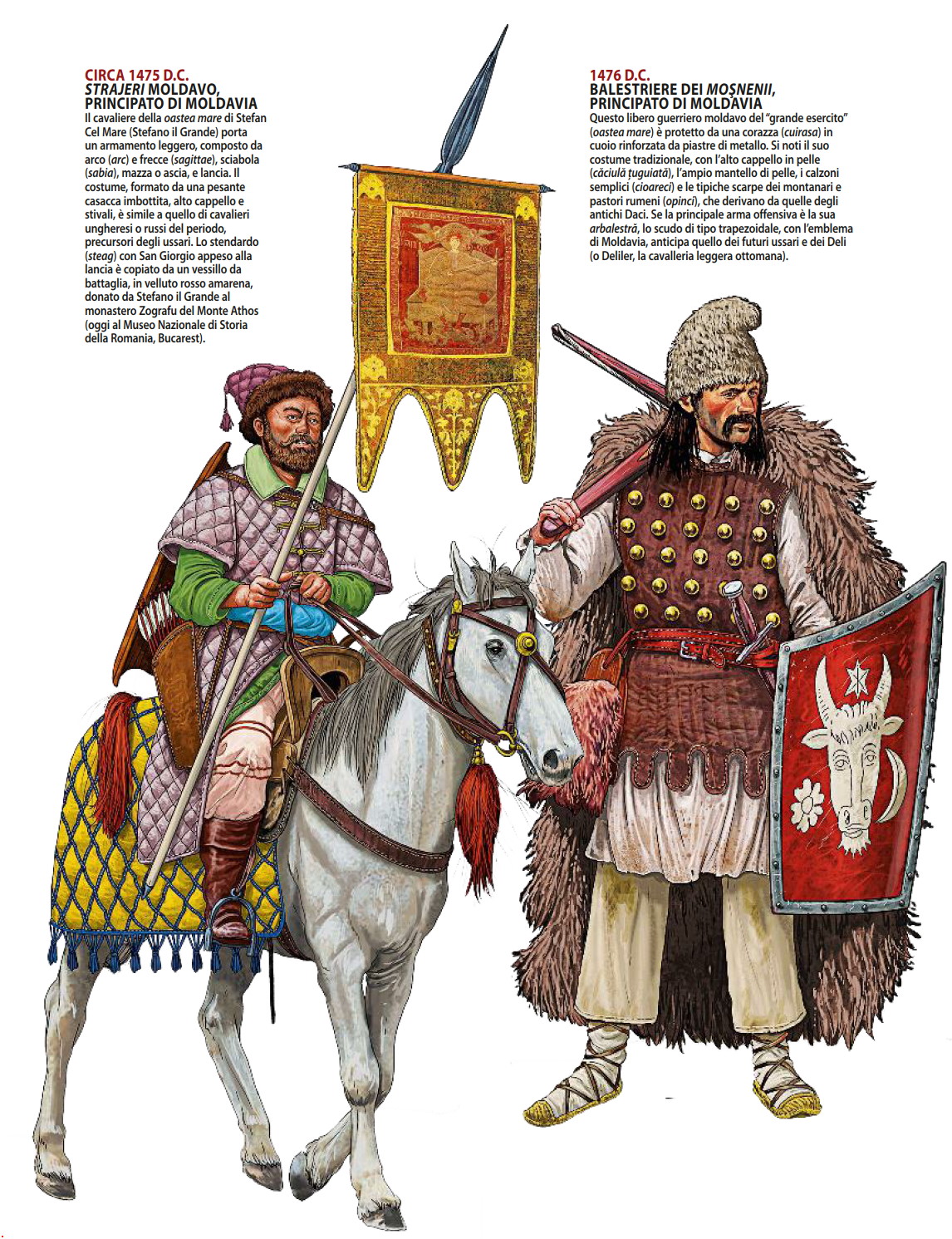 Voivode-Dracul-Vlach