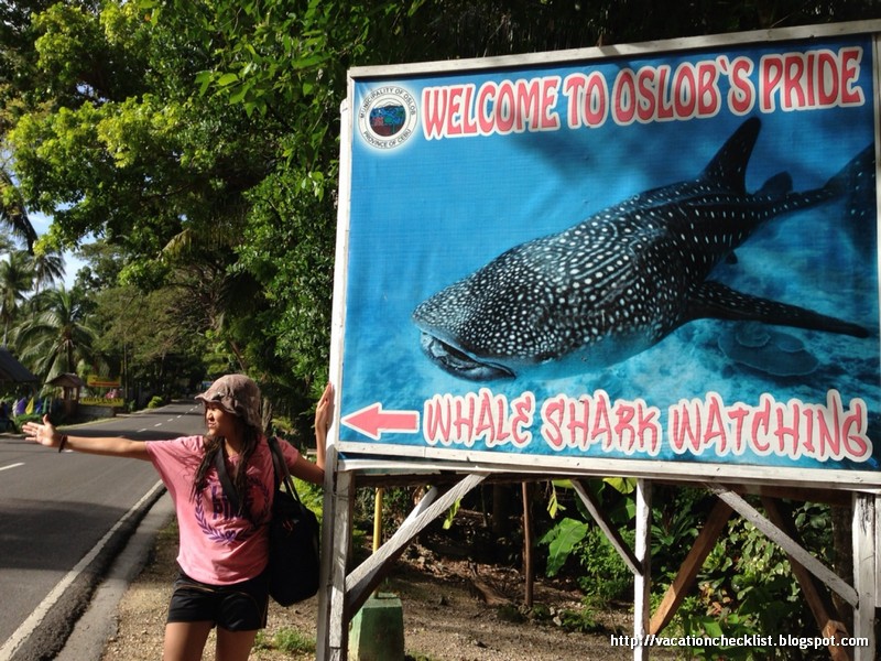 How to get there: Whale Watching Butanding, Oslob Cebu, Philippines ...