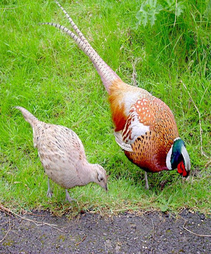 Animals Places: November 2013