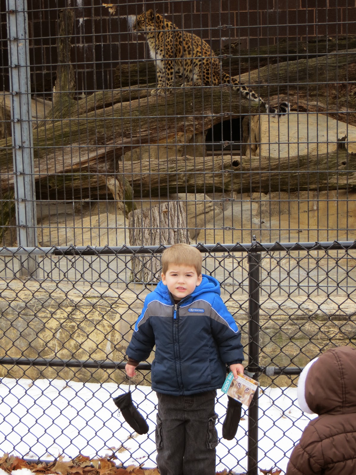 Henry Doorly Zoo Cat Complex