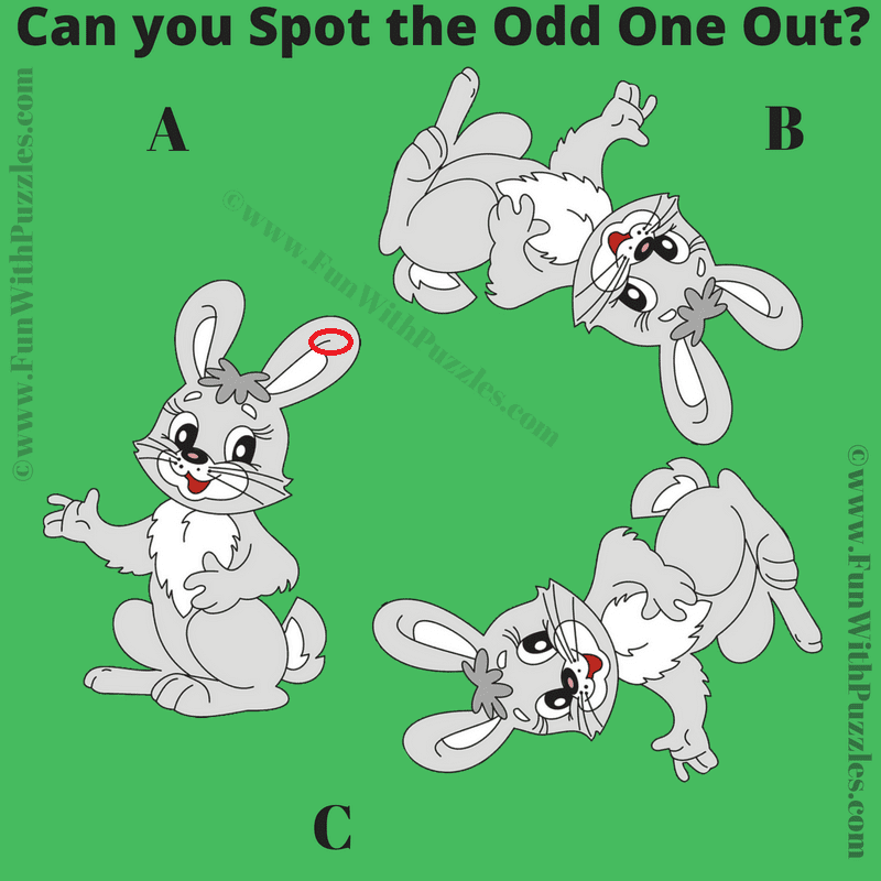 Picture Riddle Brain Teaser with Answer