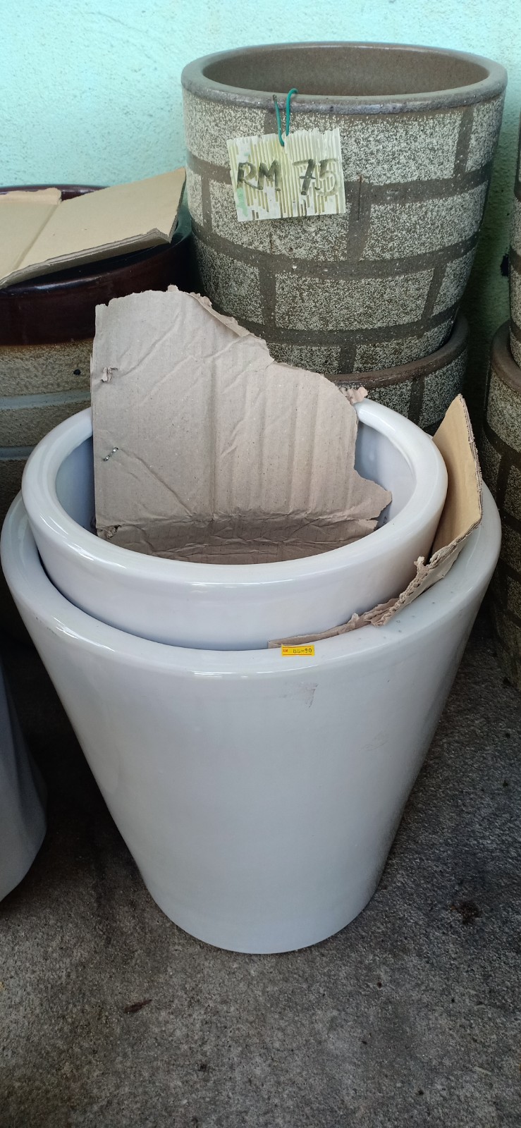 BUMI HIJAU NURSERY (002279488-D): Pasu Viral