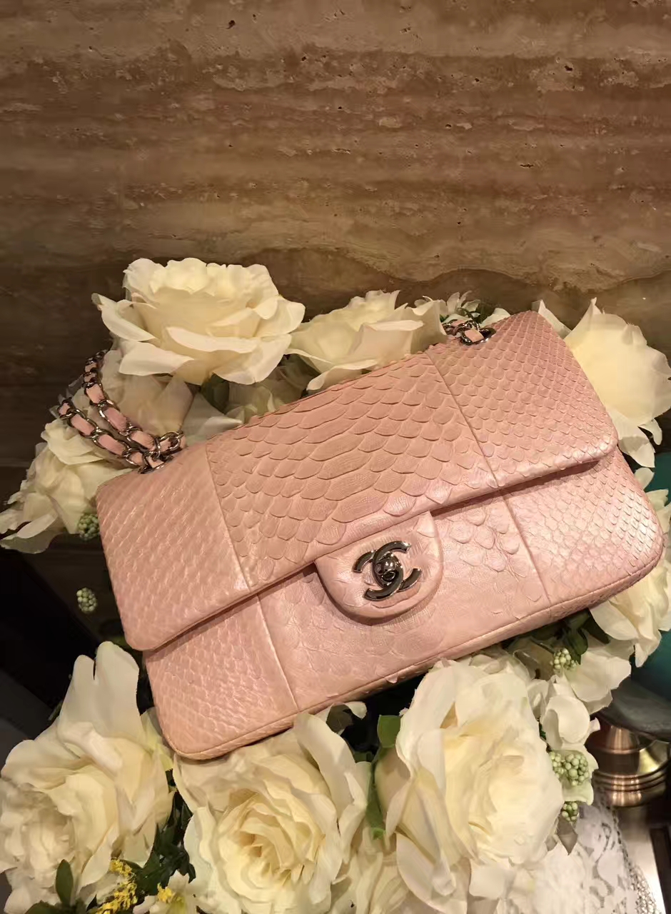 Chanel python 25cm classic double flap bag