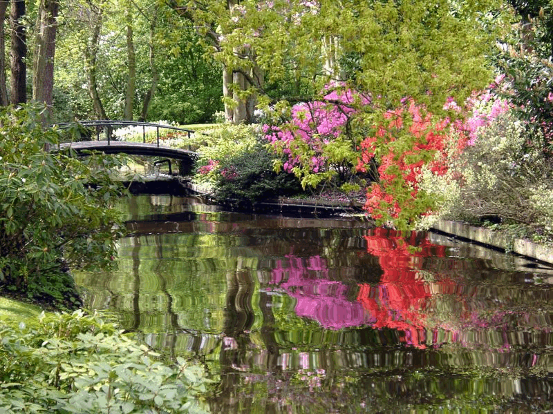 Lindas Gifs e Imagens: Imagens da Primavera com Gifs