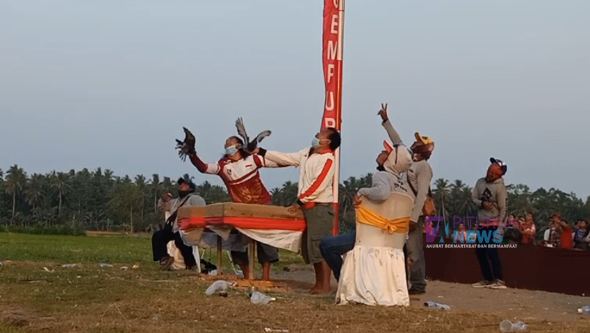 Ratusan Peserta Ikuti Lomba Merpati Kolong Bupati Purworejo Cup 2020 ...