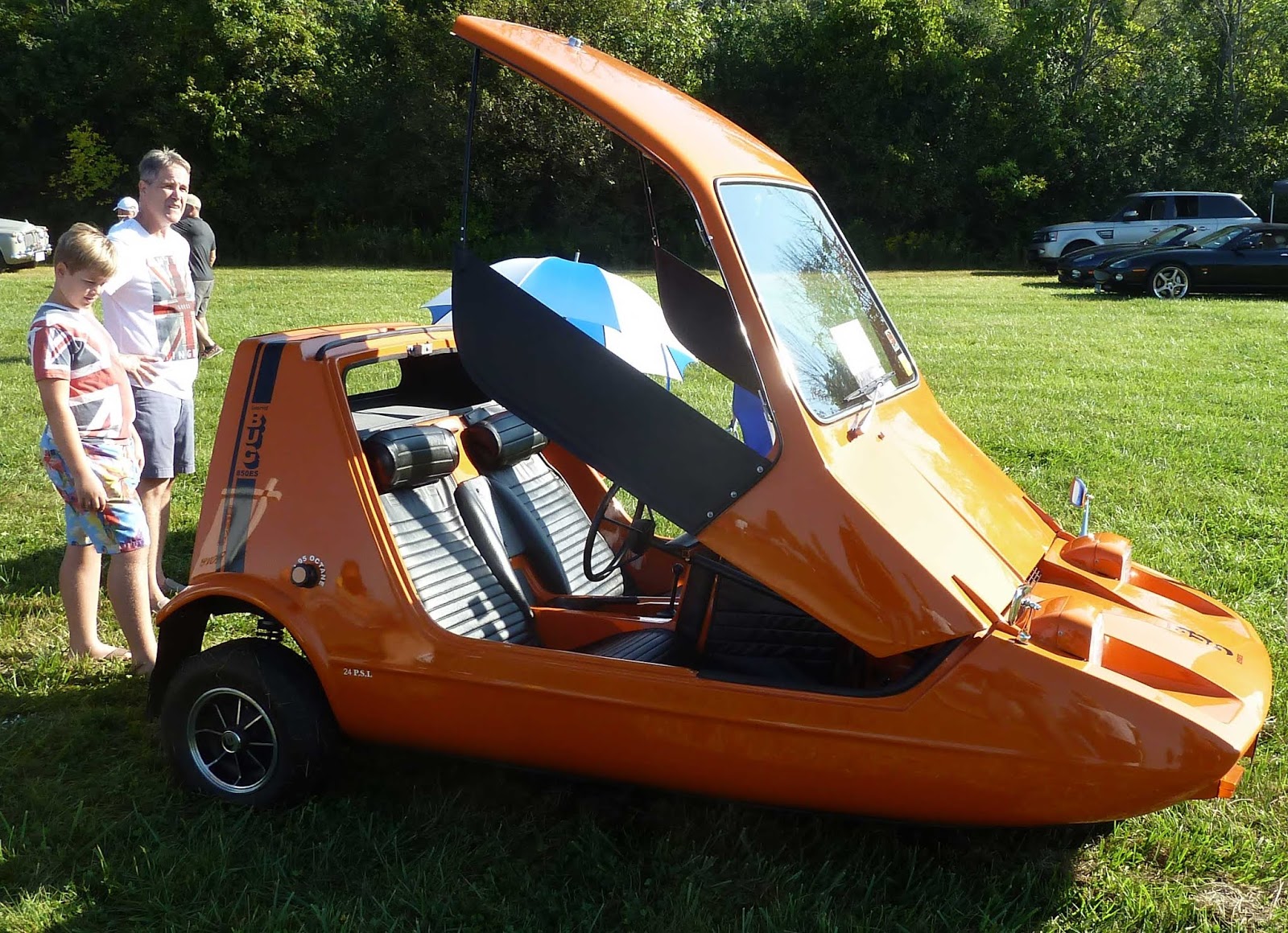 Progress is fine, but it's gone on for too long.: 1971 Bond Bug