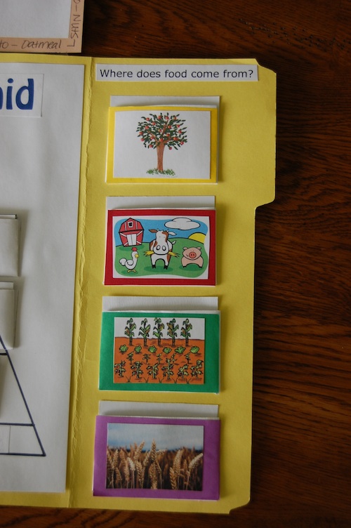 Learning 4 Fun!: Food Lapbook