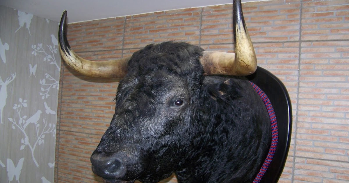 nouveaudepart: Cornes en Espagne.