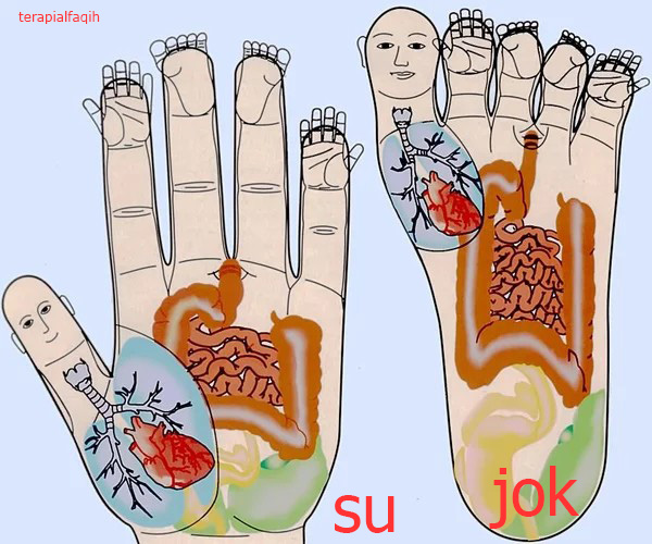 TERAPI ALFAQIH: TERAPI SUJOK