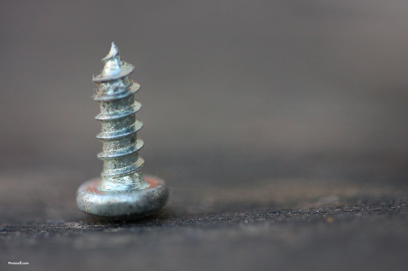 Macro mode: taking close up pictures