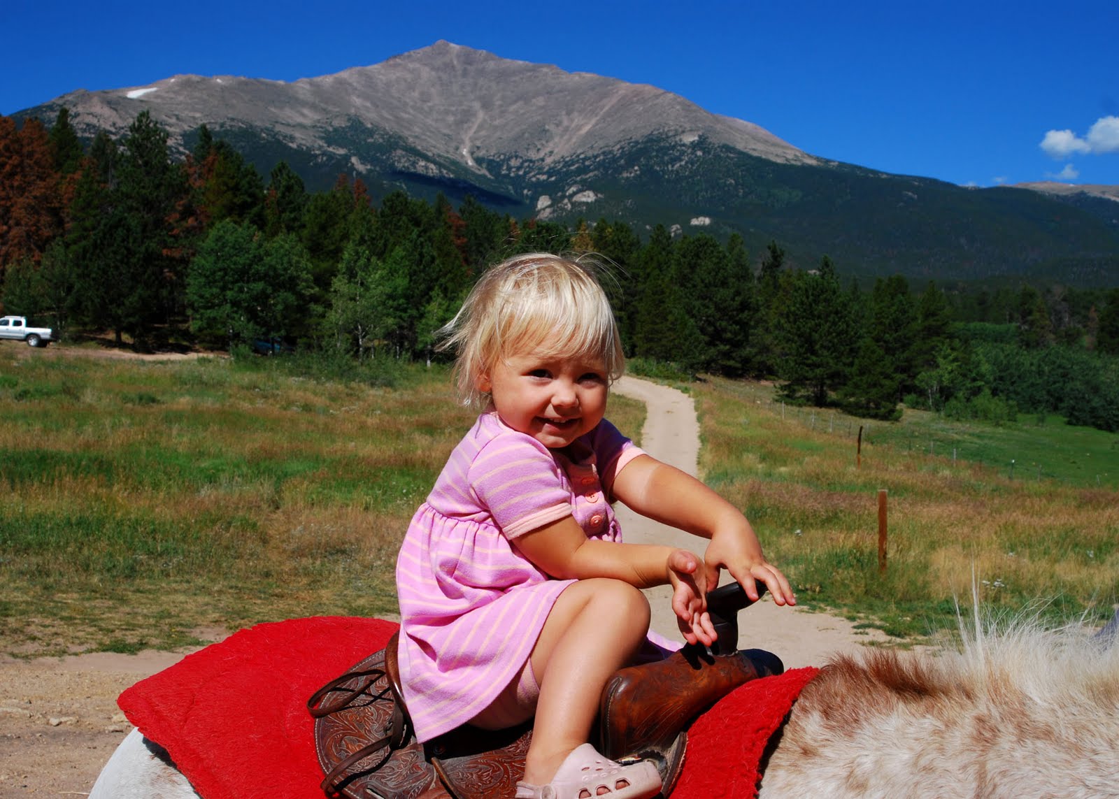 Magnolia and Boothe: Lane Guest Ranch