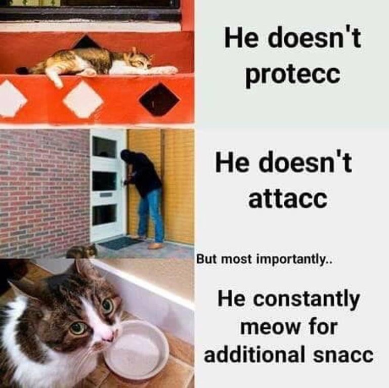 He doesn't protect - He doesn't attack - But most importantly he ...