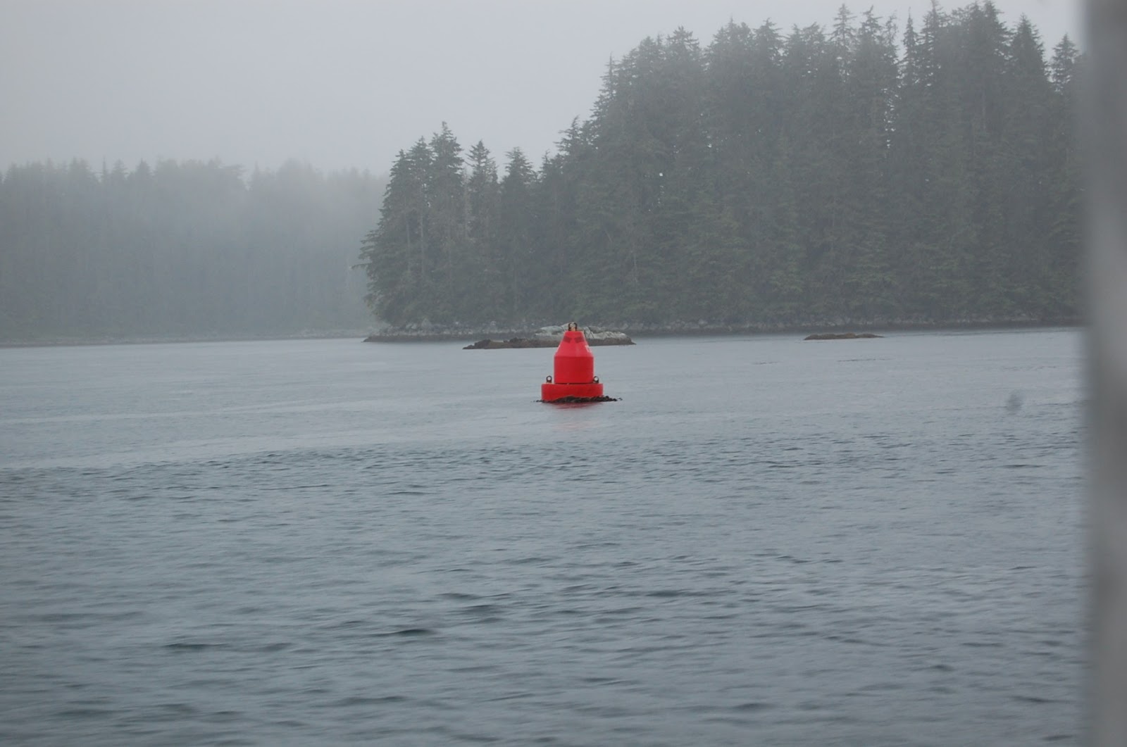 Adventure to Alaska!: Sergius Narrows to Sitka, Alaska Monday 07.01.2013