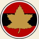 10mm Wargaming: WW2 Insignia Markers by Supreme Littleness Designs