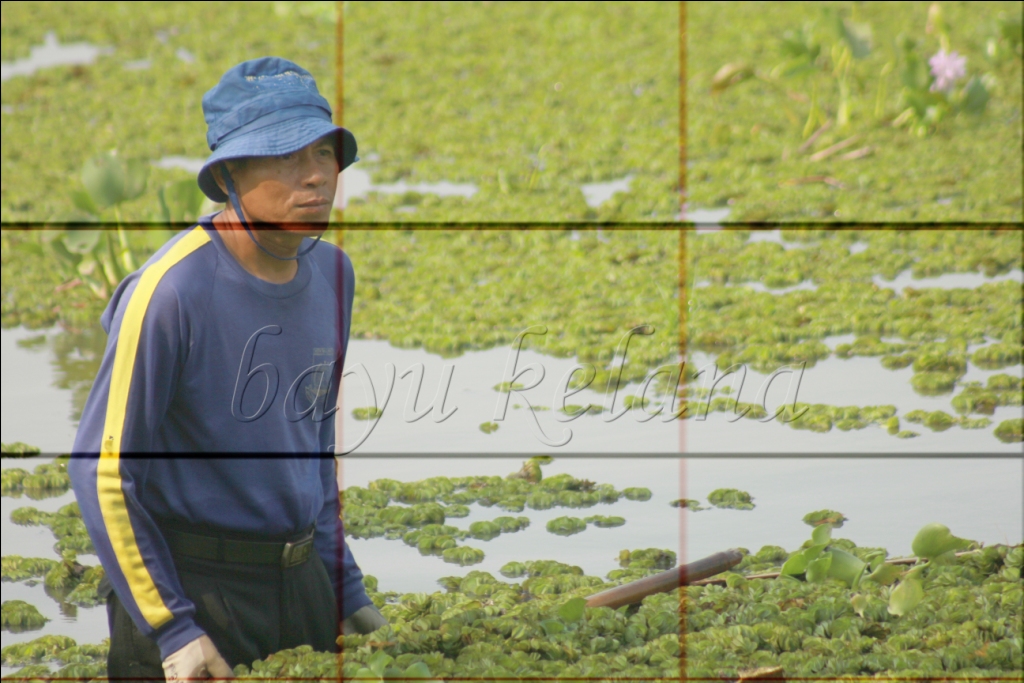 KOMPOSISI VISUAL ~ TIPS DAN TRIK FOTOGRAPHY TERBARU