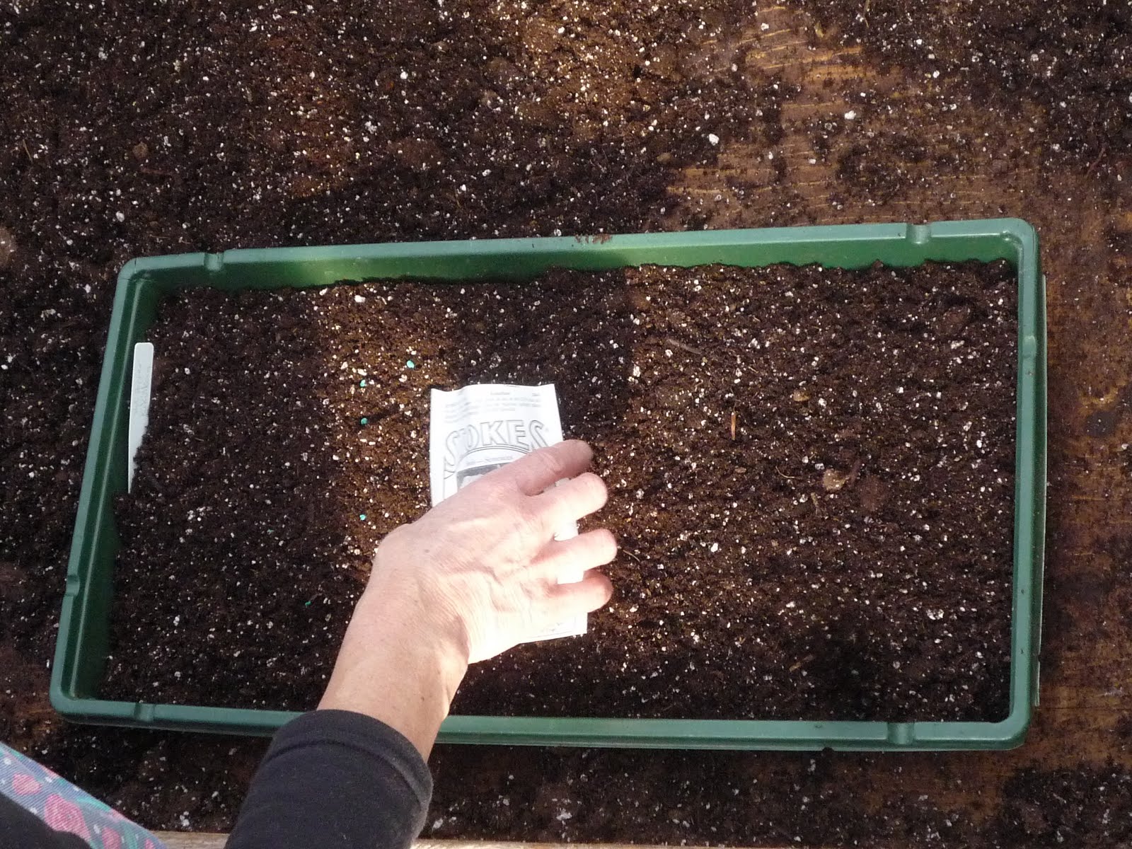 The Greenhouse and Garden Store: Planting Seed