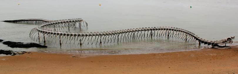 Serpent d’Océan – Sea Snake Skeleton