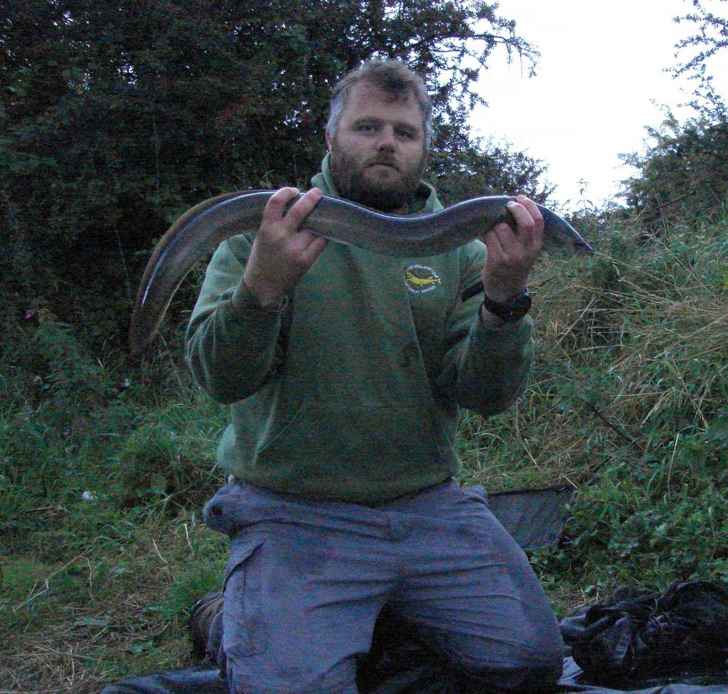 North East Piker: A more pike friendly dyson rig