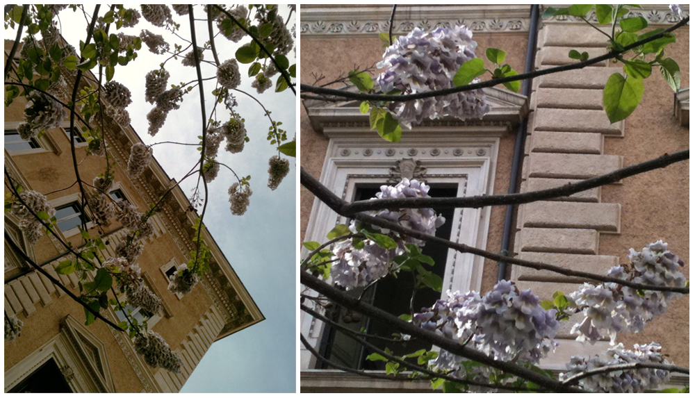 Florist in Rome: Rome in BLOOM! Full spring for Easter!
