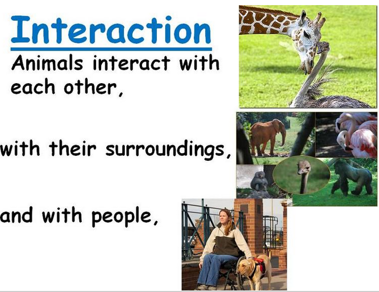 Science and Physical Education: Unit 1: Living Things