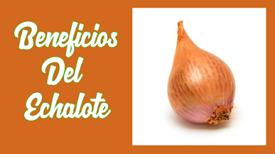 Beneficios Del Echalote | PLENITUD NATURAL