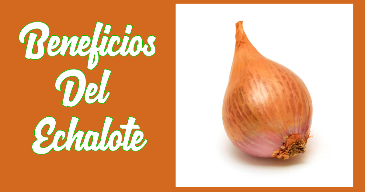 Beneficios Del Echalote | PLENITUD NATURAL