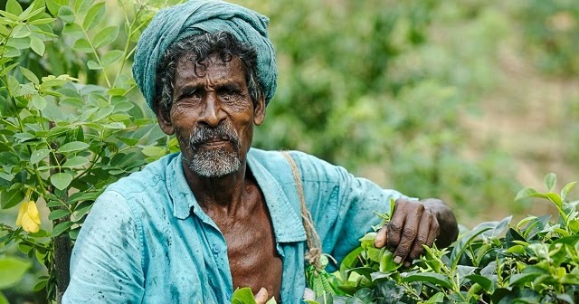India- Plantation Workers Experience | Sri Lanka Guardian