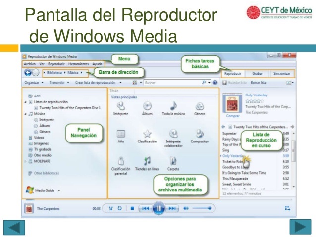 Profe De Matematicas Luz Marina Pinto Reproductor Windows Media Player
