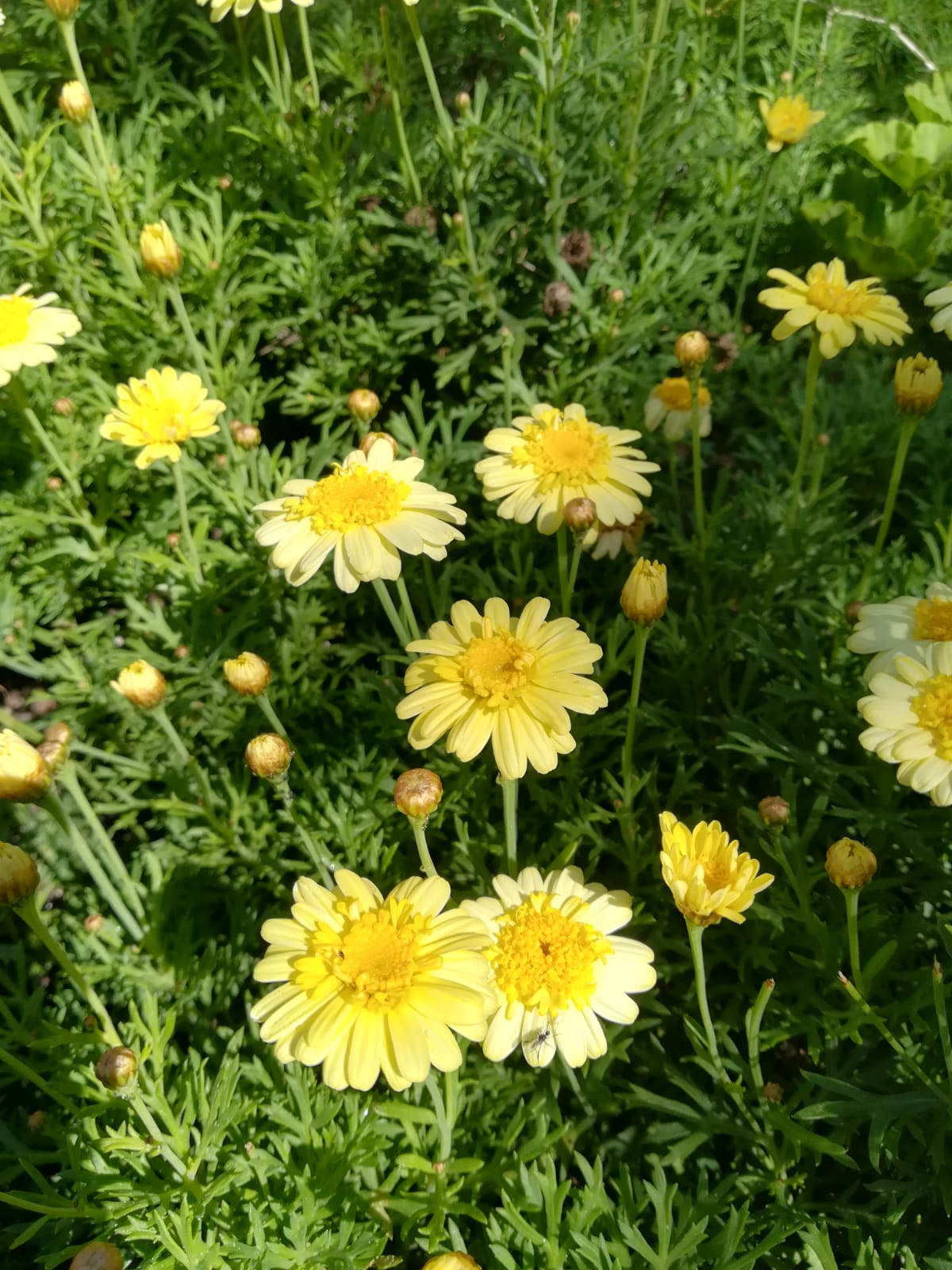 \'n Brief aan Ma – Madeleine Venter