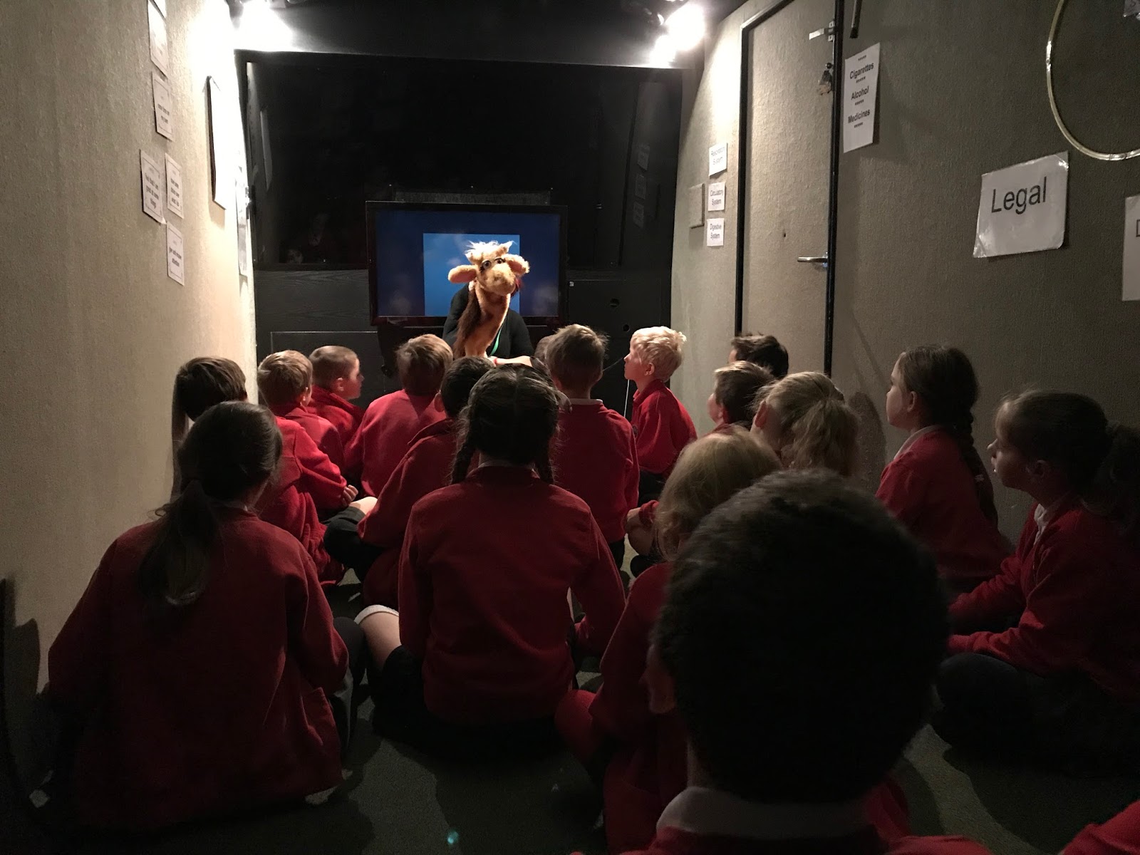 Year Five Blog: Life Education Van