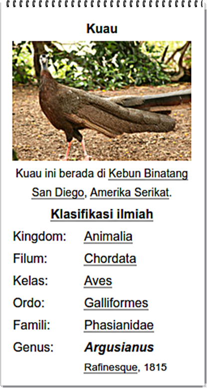 LEGENDA BURUNG RUAI | AGATHA NICOLE