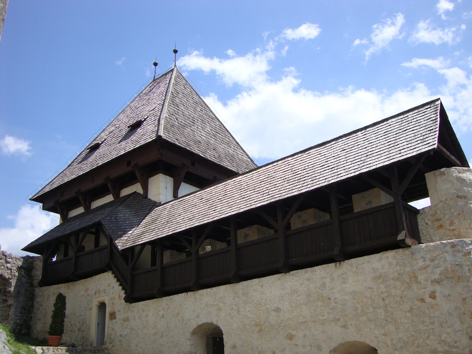 Moji zapisi: Danes Celjski grofje in nikdar več