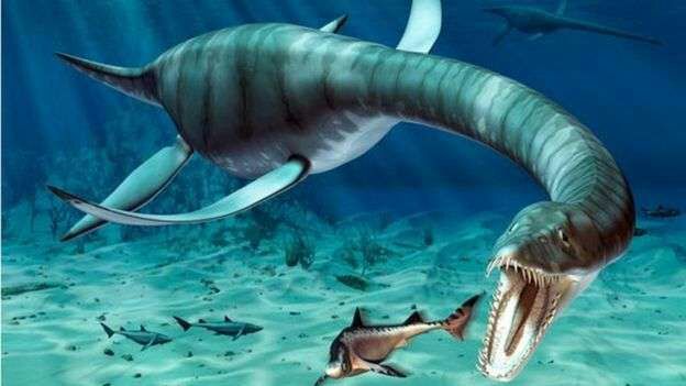 Elasmossauro, o terrível monstro das águas - Algumas Coisas