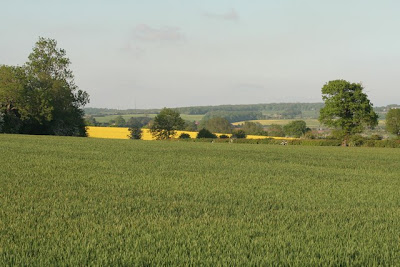 Stringer History, Heraldry, & Genealogy