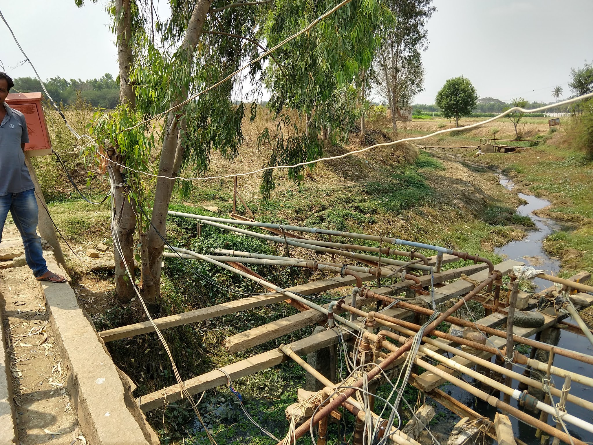 Kannamangala lake rejuvenated through Citizen-driven Participatory ...