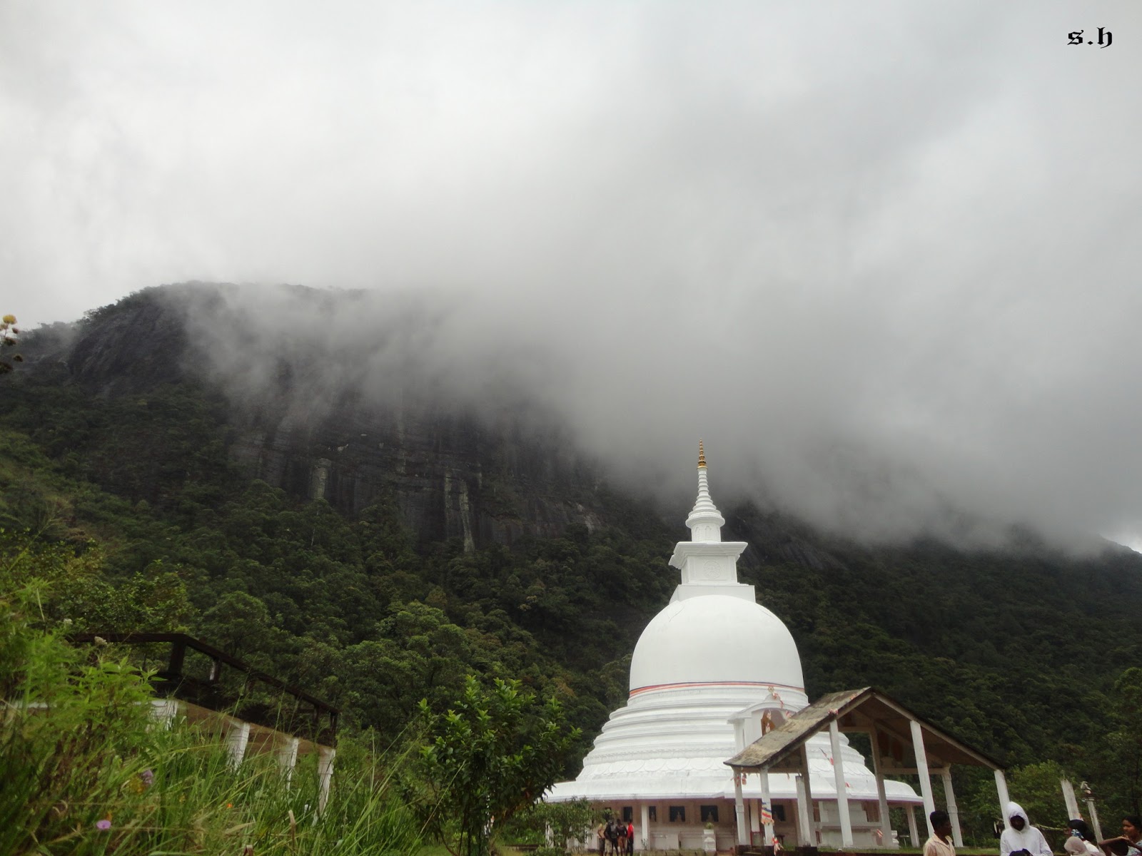 picture box: nacharal