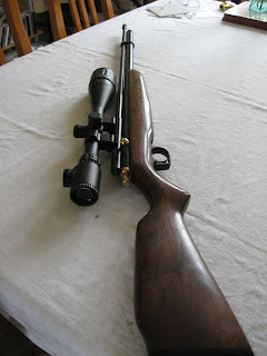 Gary's Hatsan Air Rifle's and other stuff: My Benjamin Discovery