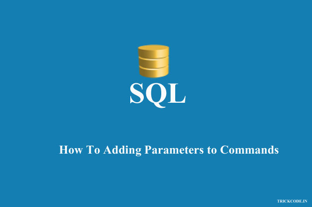 How To Adding Parameters To Commands Trickcode How To Learn Sourcecodenodesangular 1154