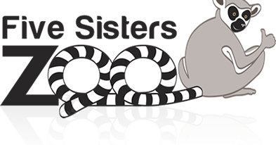 Zoo Jobs: Reptile Keeper