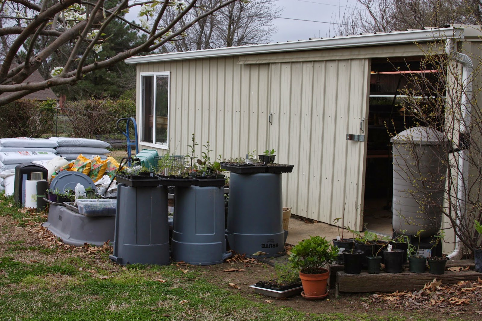 How We Do It - Seedlings - growing and hardening off before planting