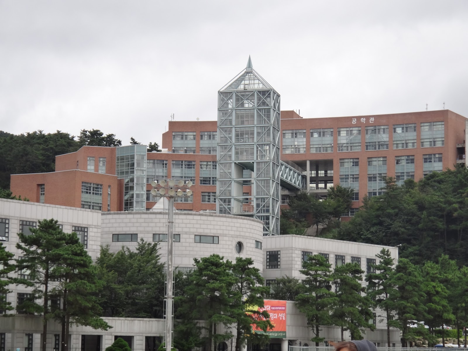 Kimchi Land Chronicles: Arrival in Silla University