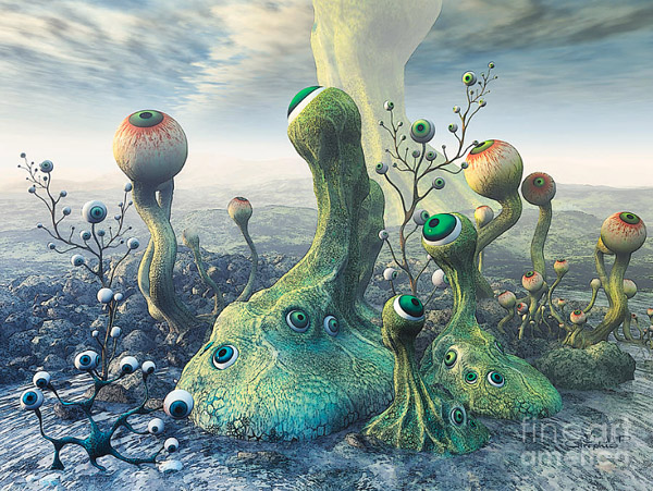 Fantasy Art for Home and Office: The Weirdest Most Bizarre Fantasy Art ...