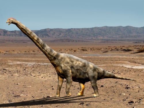 Paleoexhibit: Sauropods of the British Isles I