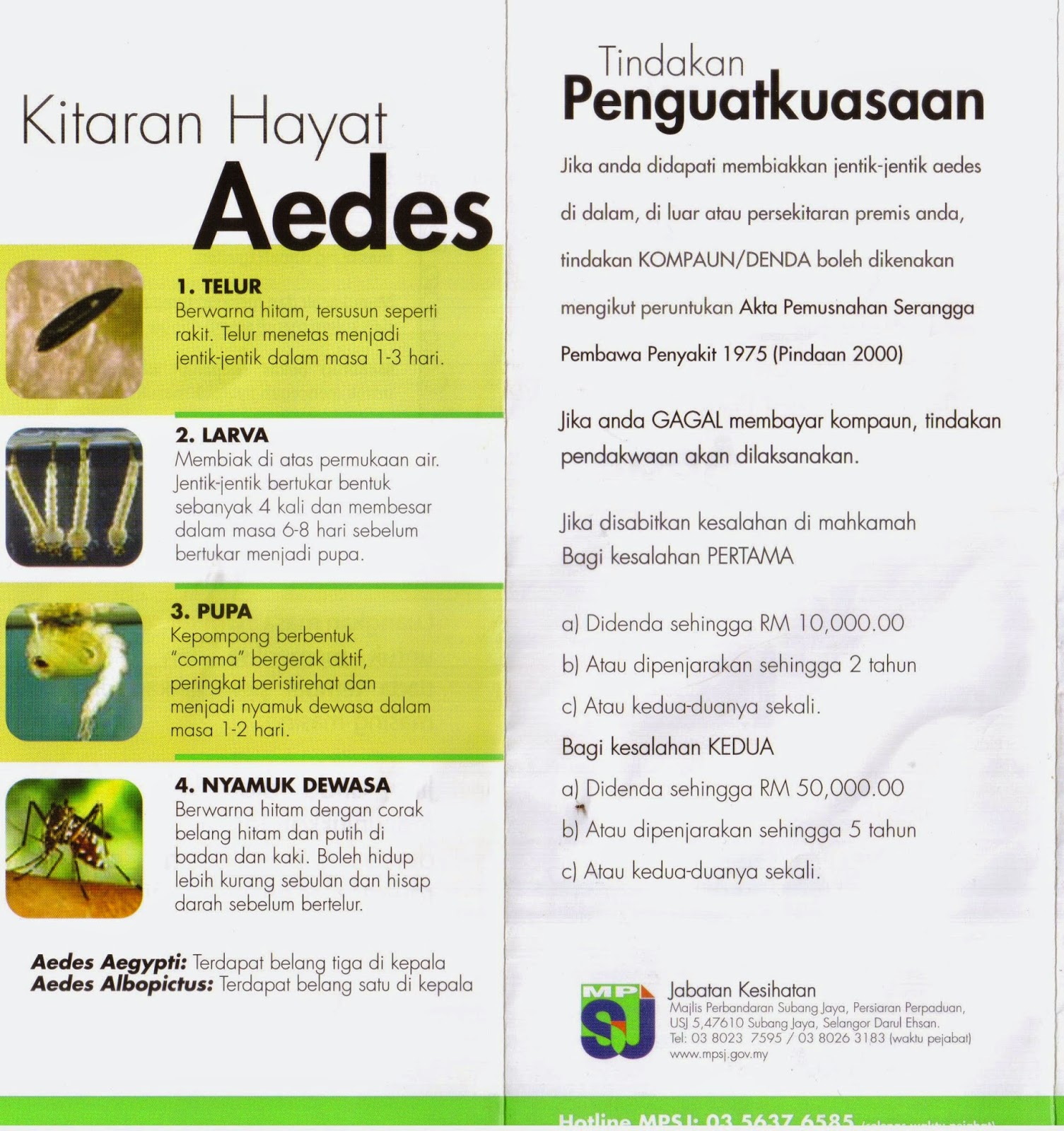 Kelas Pra Azam: MESEJ 5 MINIT TENTANG PENCEGAHAN DENGGI BAGI PELAJAR ...