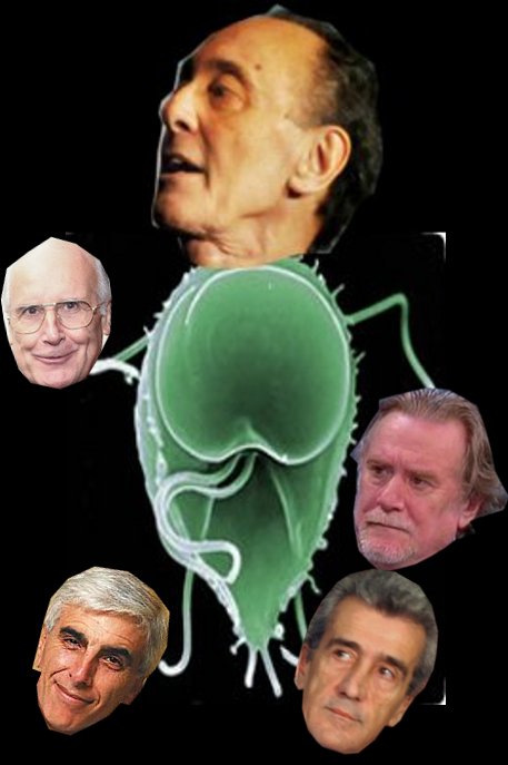 LA VERGÜENZA DE MI FAMILIA: INSECTOS PARASITARIOS AUTÓCTONOS