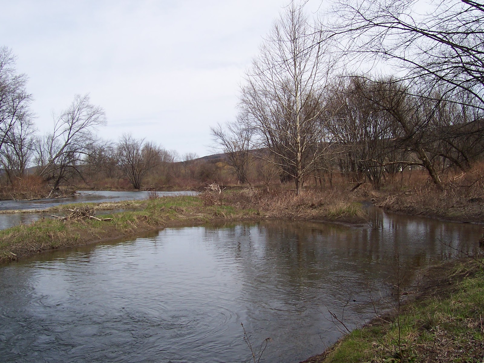 chenango-archaeologists-confluence-of-johnson-creek-and-the-chenango-river